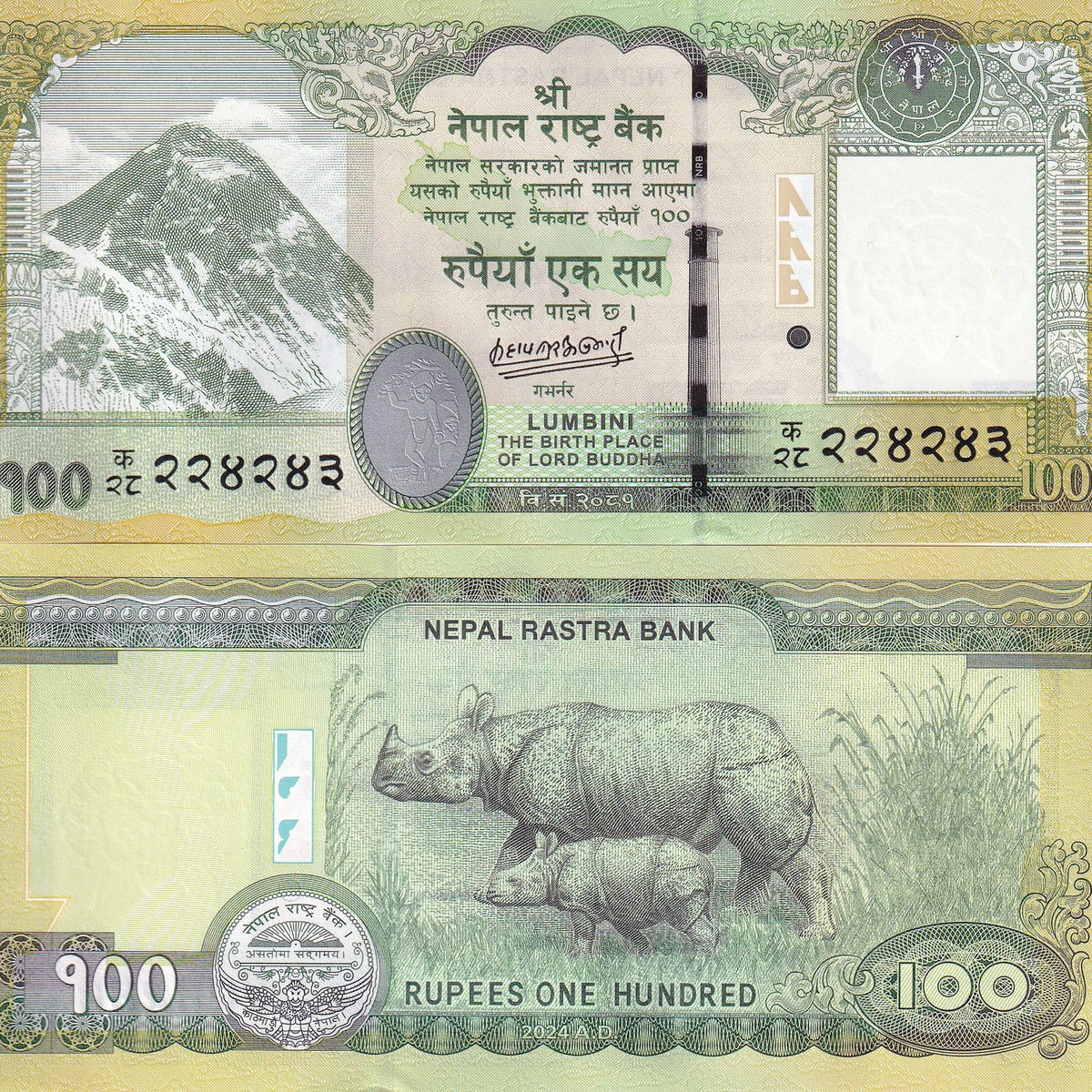 Nepal 100 Rupees 2024 / 2025 P 80 NEW Sign and Date UNC – Noteshobby