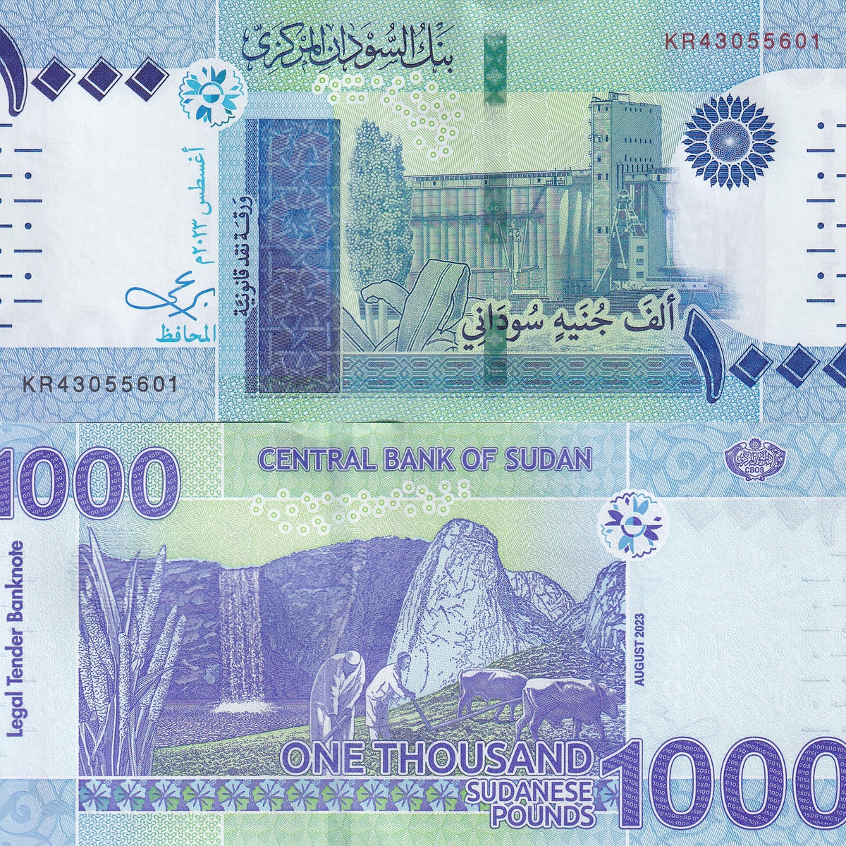 Sudan 1000 Pounds 2023 P 81 UNC – NotesHOBBY