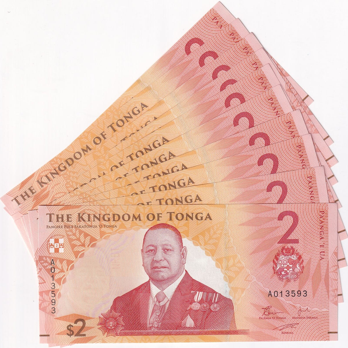 Tonga 2 Pananga 2023 2024 P 50 NEW Design Whale LOT 10 UNC – Noteshobby